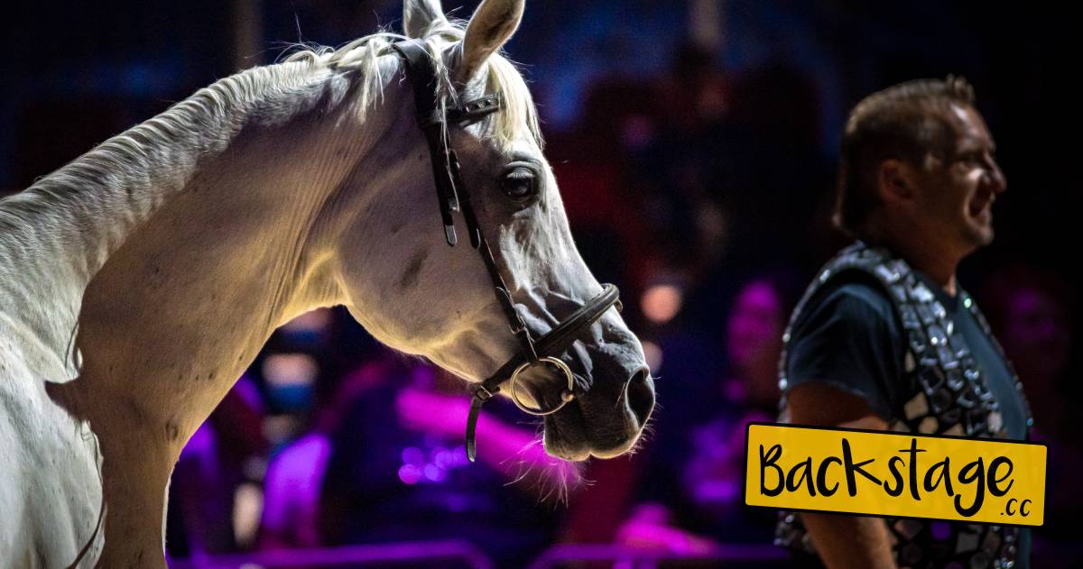 Circus Safari - Final Show | BACKSTAGE.cc | behind the scenes
